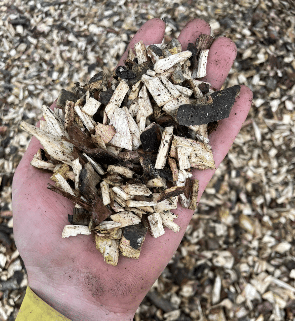 Taille des arbres et travaux forestiers – Yannick Paysagiste